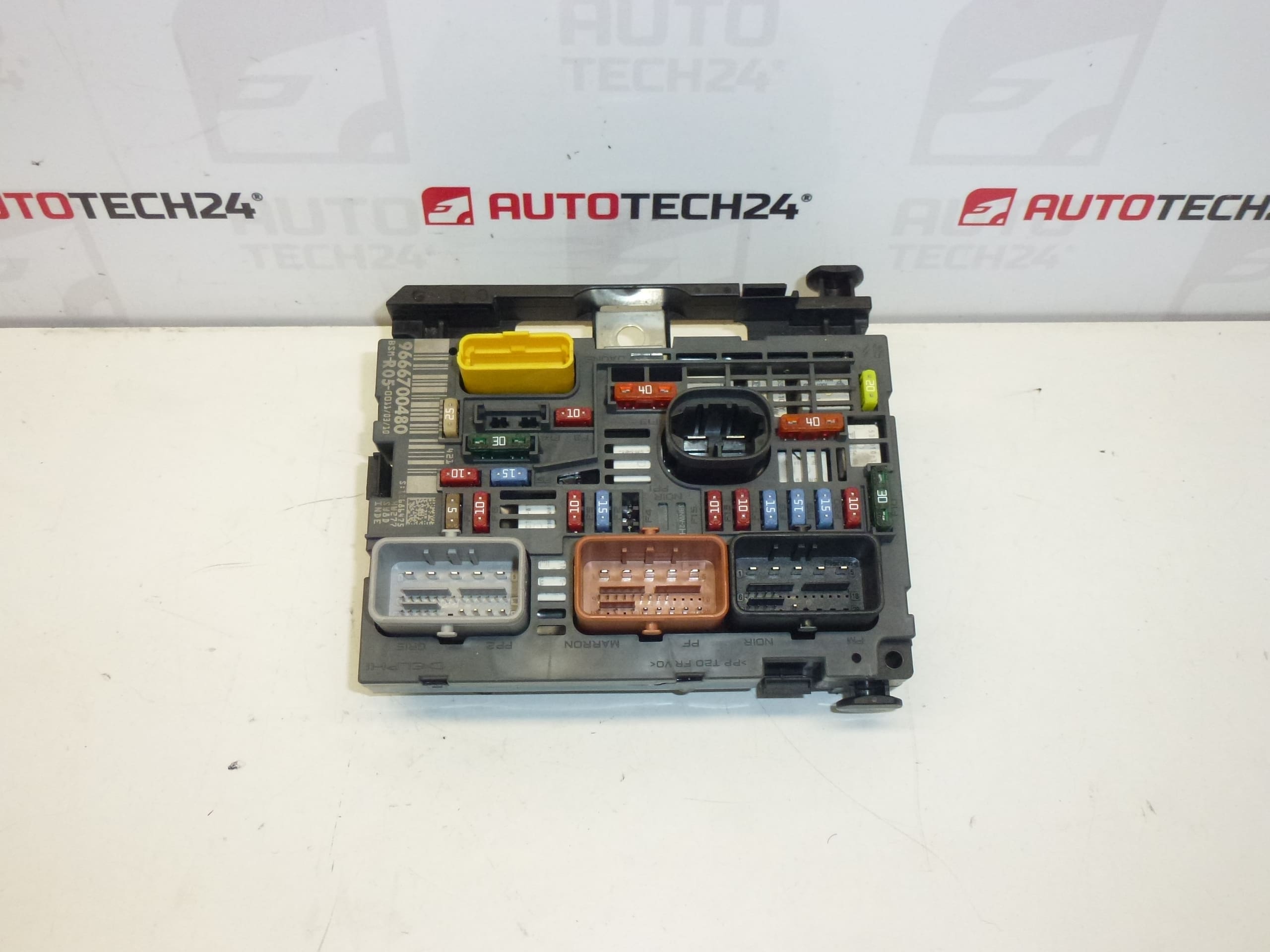 BSM R05 Delphi Citroën Peugeot 9666700480 | A24 Nederland